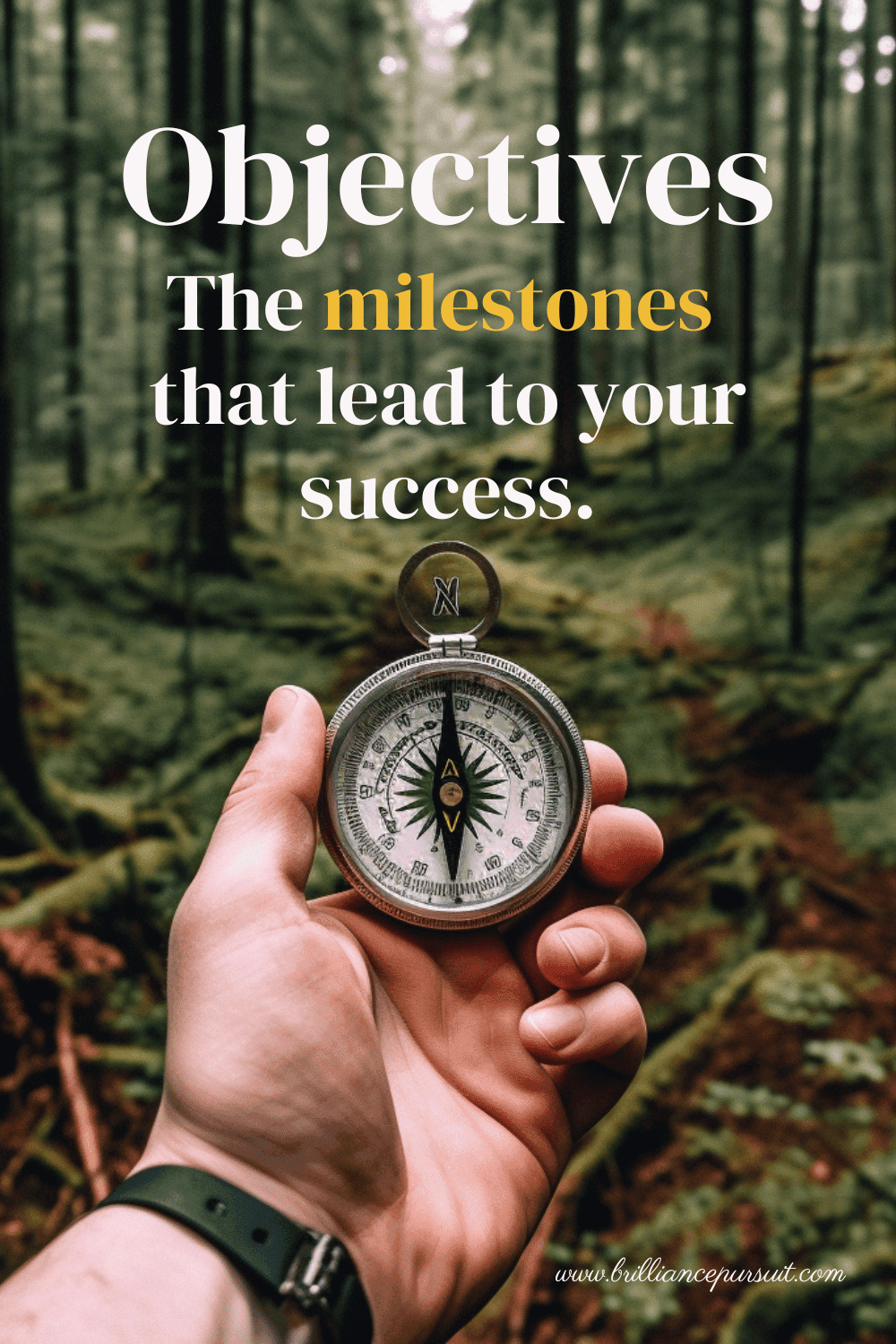 Differentiate Goals vs Objectives and 4 practical Steps to Success